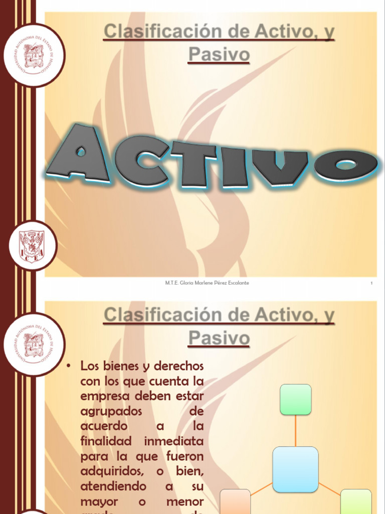 clasificacion_activo_pasivo | PDF | Economias