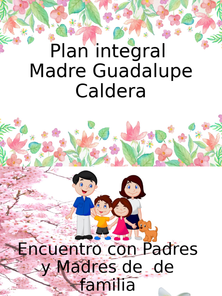Plan Integral para Tercero y Sexto Grado | PDF | Educación primaria ...