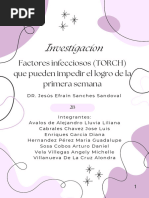 Perfil Torch | PDF | El embarazo | Infección