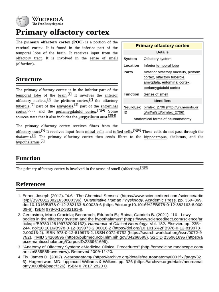 Primary Olfactory Cortex | PDF | Cerebral Cortex | Olfactory System