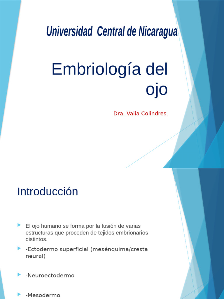 Embriologia Del Ojo_f708da857fc861a0c4b73b71f72577da | PDF | Retina | Ojo