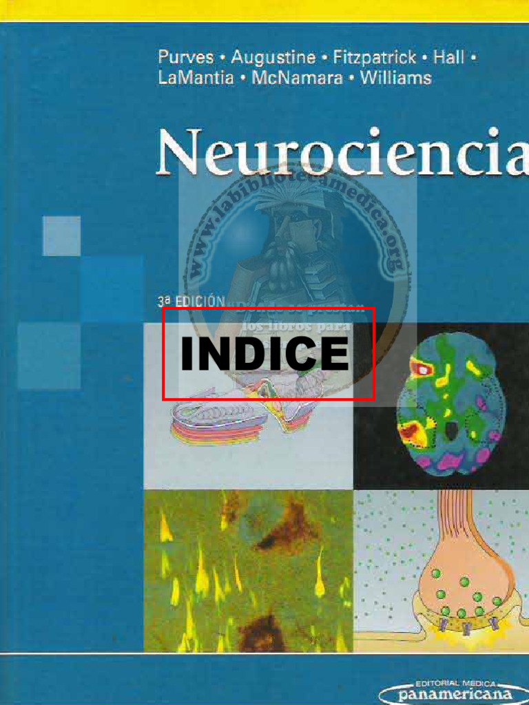 Neurociencias Purves Et Al. 2007 | PDF | Electricidad | voltaje