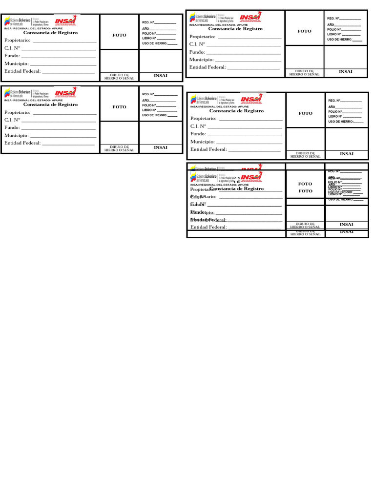 Constancia de Registro INSAI Apure | PDF