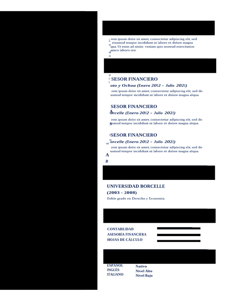 Currículum CV Asesor Financiero Profesional Azul Oscuro | PDF