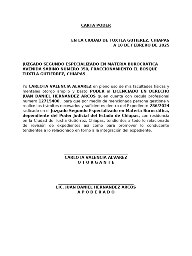 Carta Poder Laboral | PDF