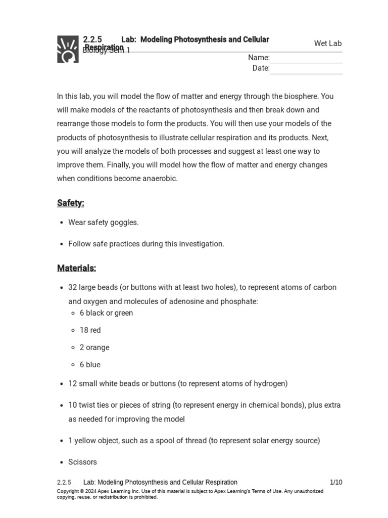 2.2.5 Lab - Modeling Photosynthesis and Cellular Respiration (Wet Lab ...