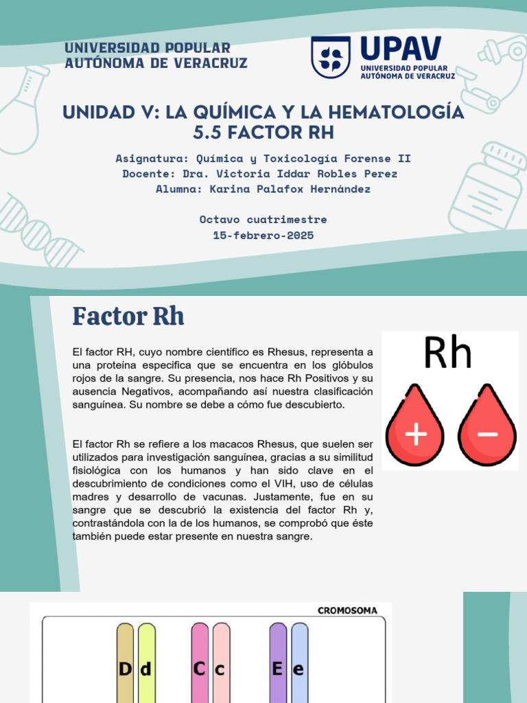 Importancia del Factor Rh en Embarazos | PDF | Enfermedades y ...