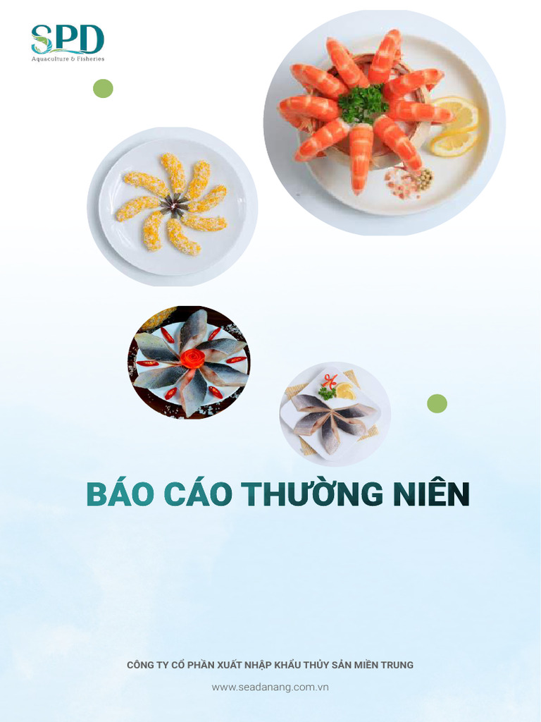 1 SPD 2024 3 21 6957b6f 03 2024 Bao Cao Thuong Nien Nam 2023 Da Ky | PDF