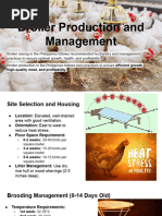 Broiler Feeding Chart 2 | PDF | Broiler | Birds