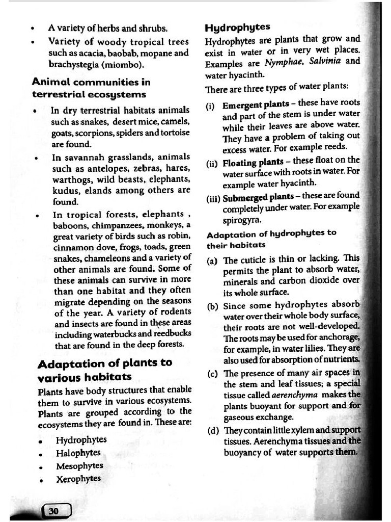 Xerophytes | PDF