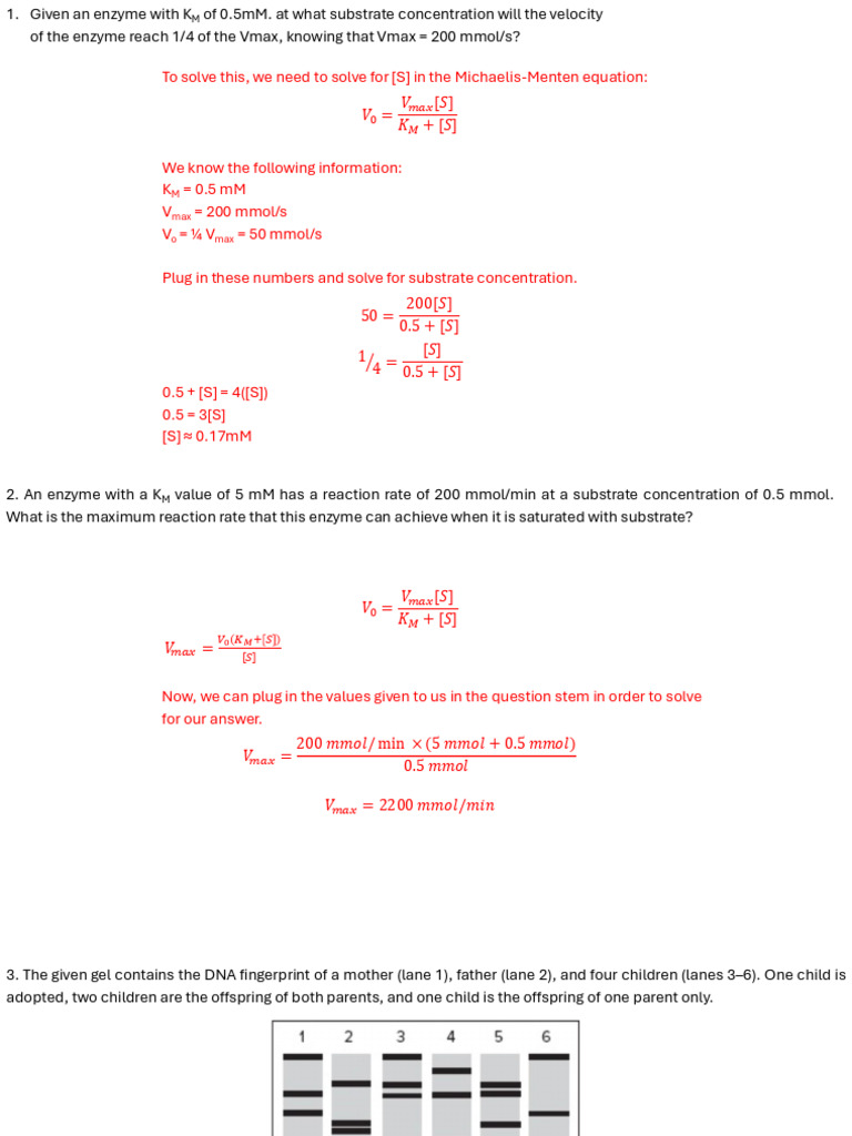 Upload Ver - Tutor 2 - Answer Keys | PDF | Cell Biology | Molecular ...