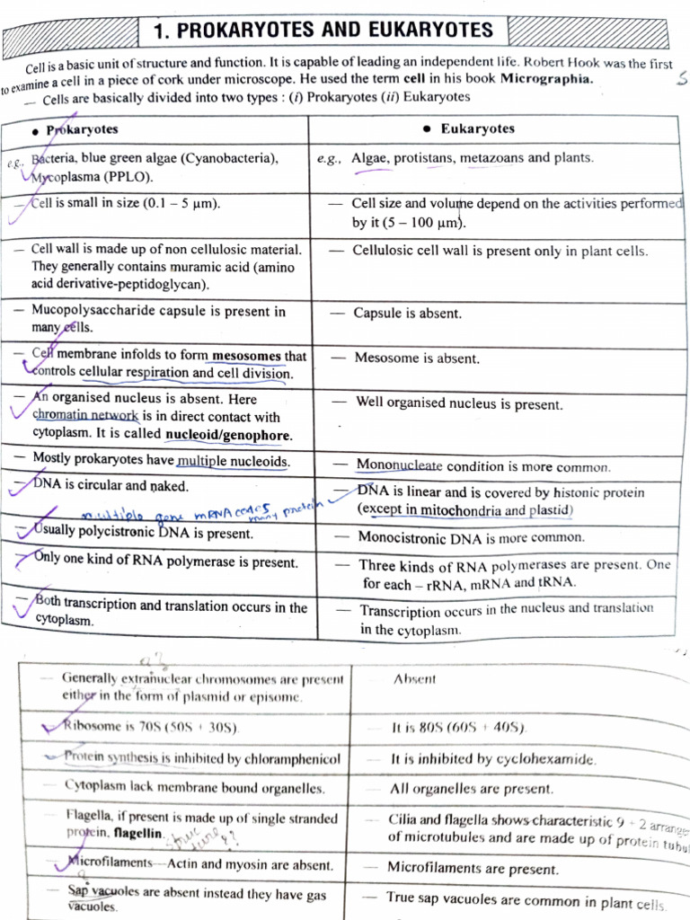 Module 2 (Classification II) | PDF | Cell (Biology) | Organelle
