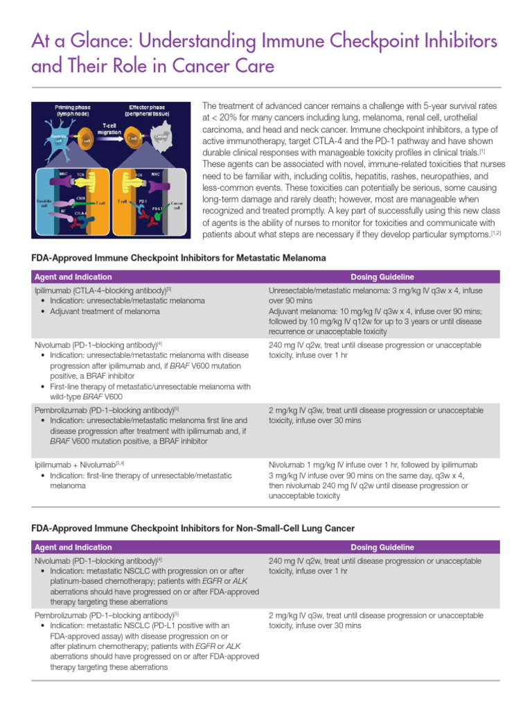 CCO ONS Immunotherapy Checklist PDF | PDF | Lung Cancer | Cancer