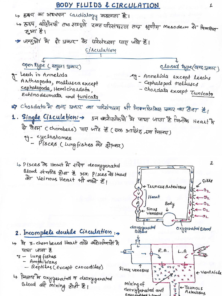 Body Fluids & Circulation Hindi | PDF