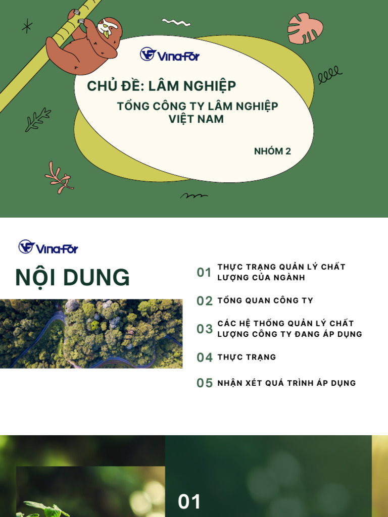 Công ty Vinafor - Lâm nghiệp - Nhóm 2 | PDF