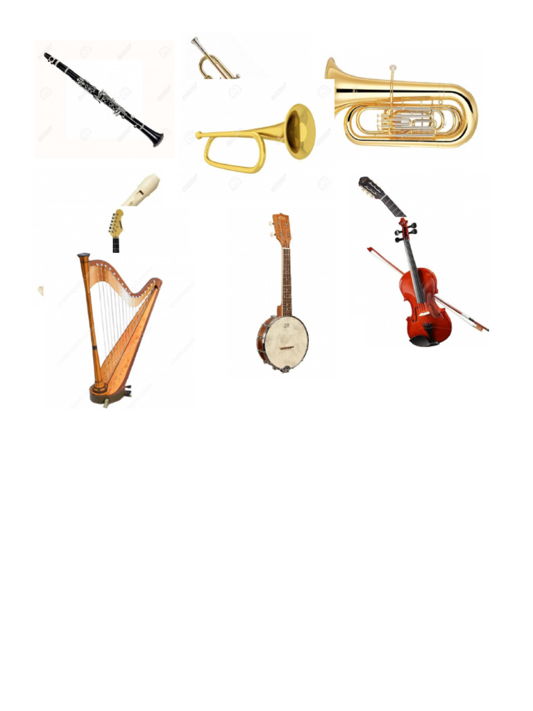 Instrumentos | PDF