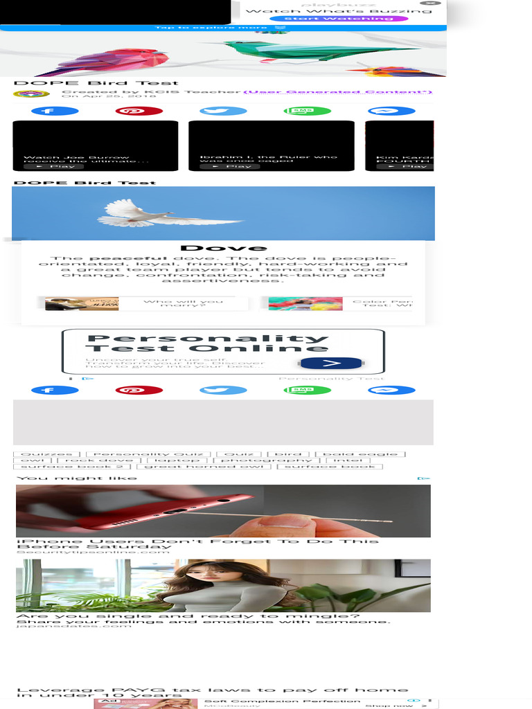 Dope Bird Personality Test Overview | PDF