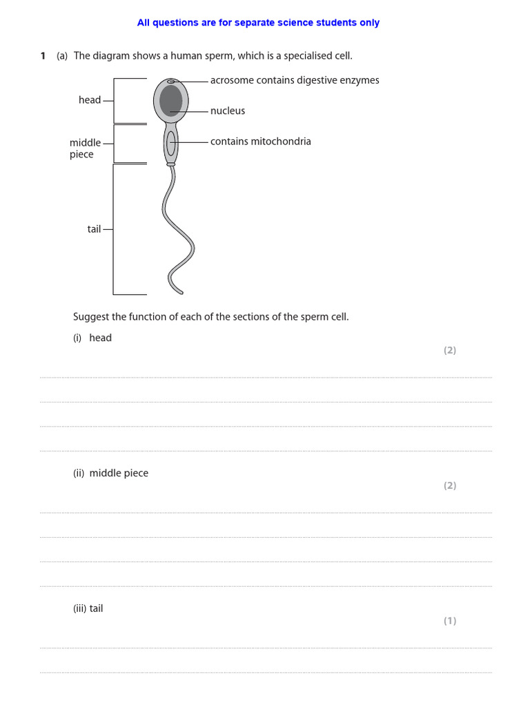 Cell Structure QP (Separate Only) | PDF | Axon | Neuron