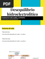 Principales Alteraciones Hidroelectrolíticas e Intervenciones de Enfermeria PDF | PDF | Sodio ...