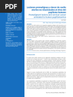 Omentos Mayor y Menor - Anatomía, Ubicación y Función - Kenhub | PDF ...