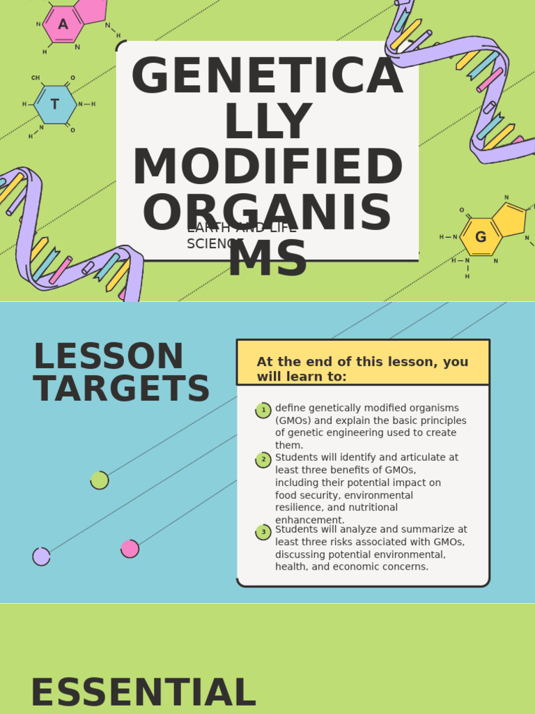 Benefits and Risks of GMOs Explained | PDF | Genetically Modified ...