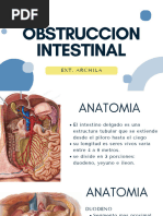 Obstrucción Intestinal Por Adherencias y Bridas | PDF | Especialidades ...