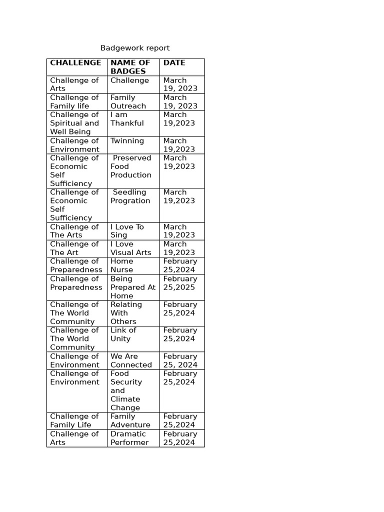 Badgework Report | PDF