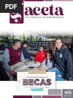 Lineamientos Beifi | PDF