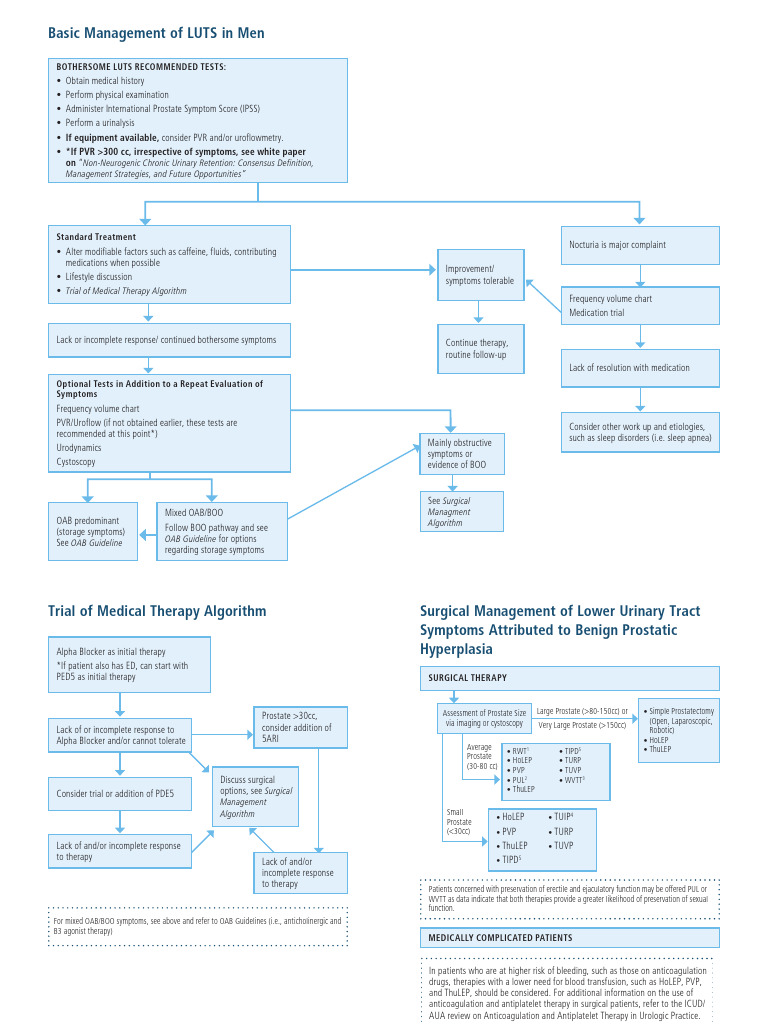 BPH Algorithms Final 2023 | PDF | Diseases And Disorders | Clinical ...