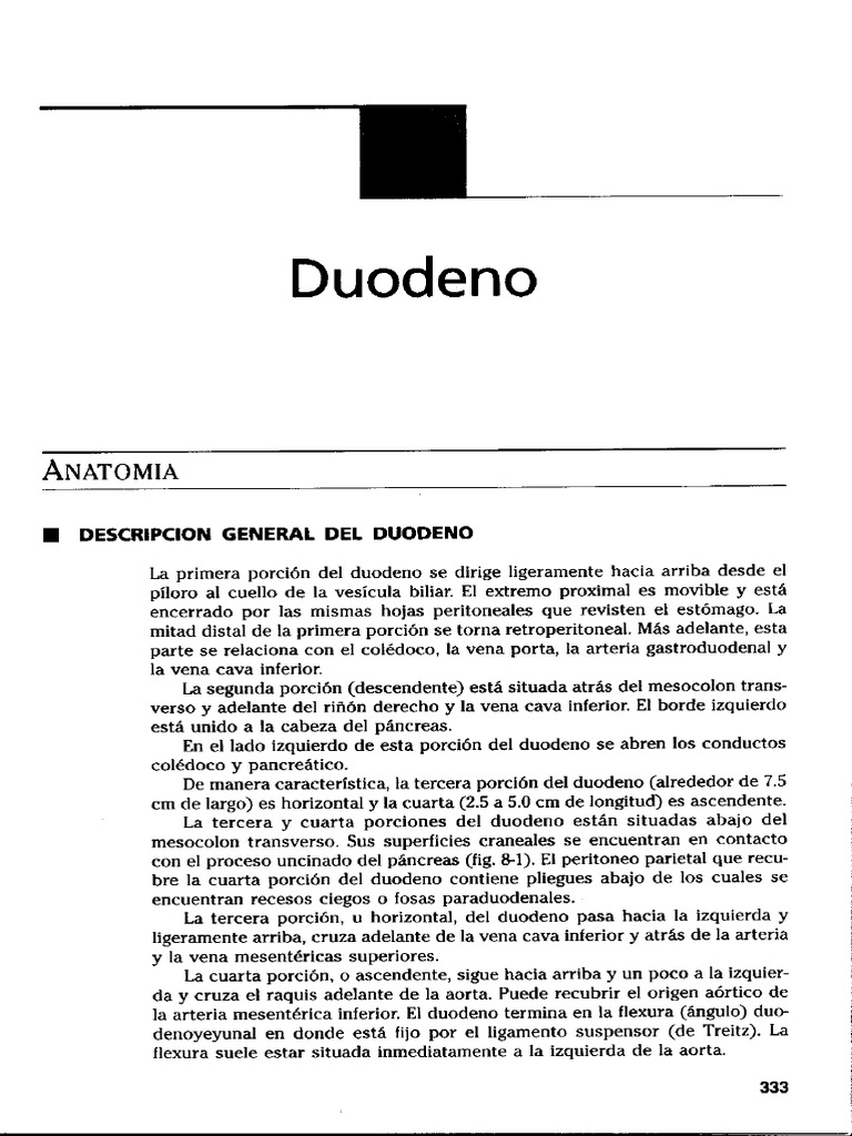 Duodeno | PDF | Estómago | Páncreas