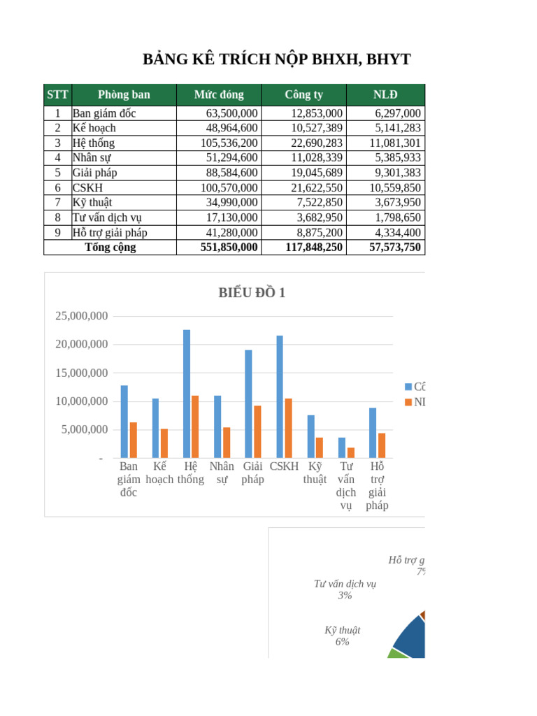 BT4.7 BangKeBHXH | PDF