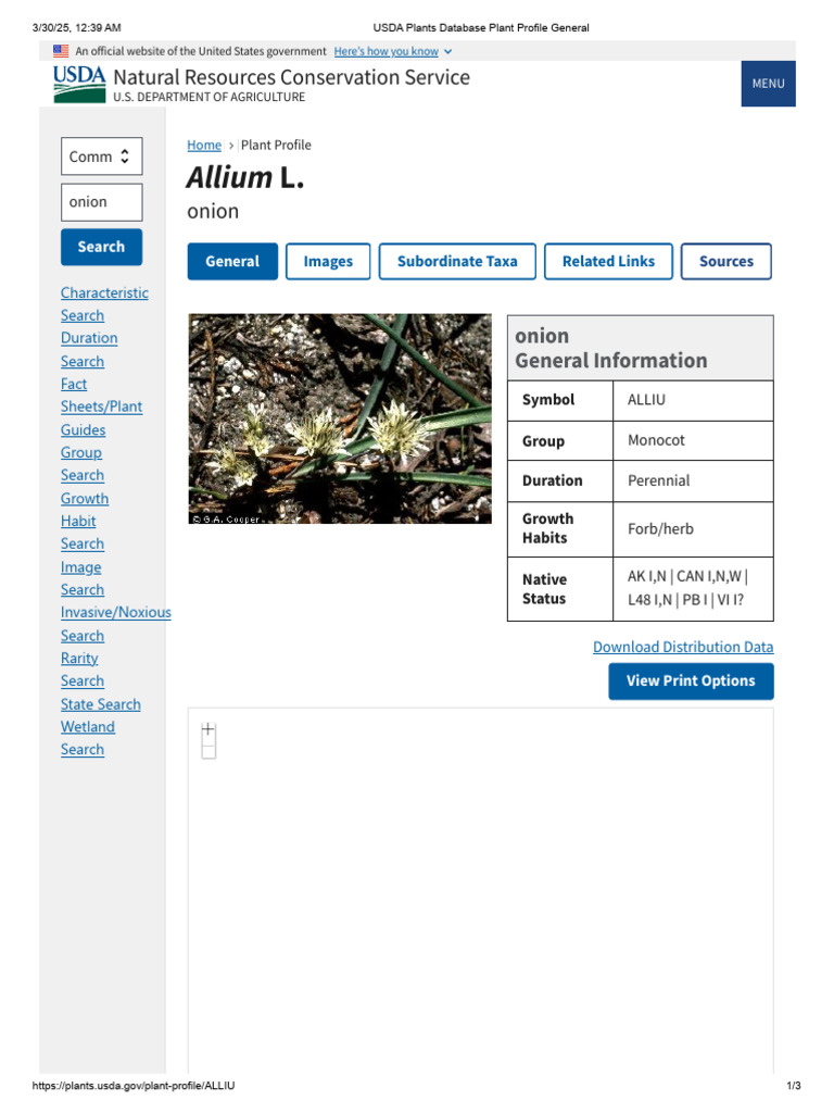 USDA Plants Database Plant-Onion | PDF | Botany | Plants