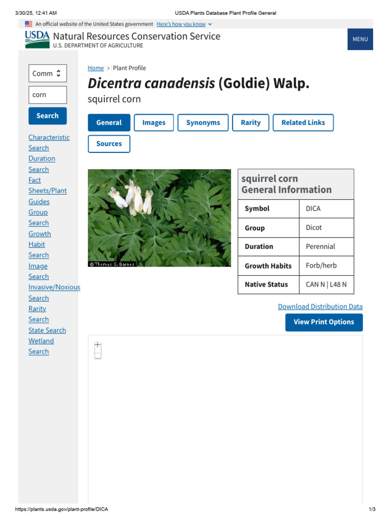 USDA Plants Database Plant Profile-squirrelCorn | PDF | Plants | Botany