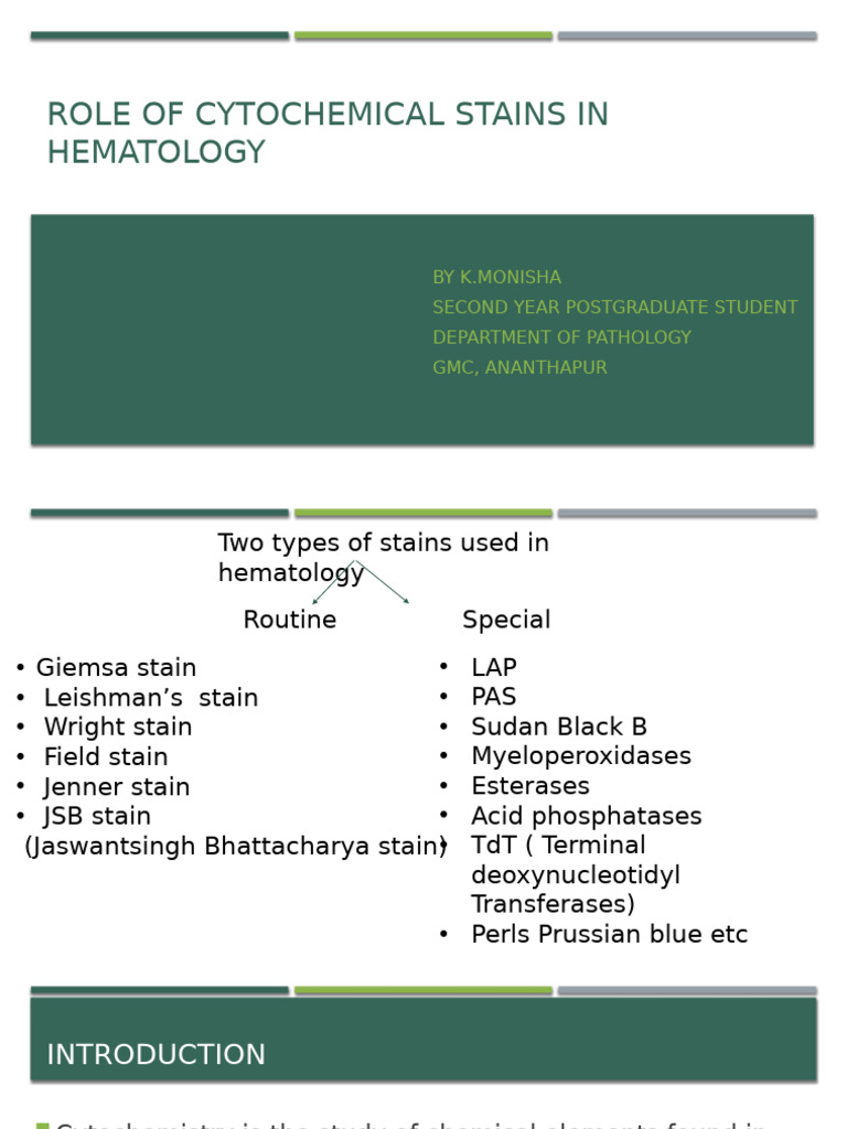 Role of Cytochemical Stains in Hematology | PDF | Granulocyte | White ...