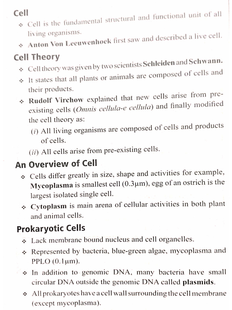 Class 11 Chapter 1 Short Notes | PDF