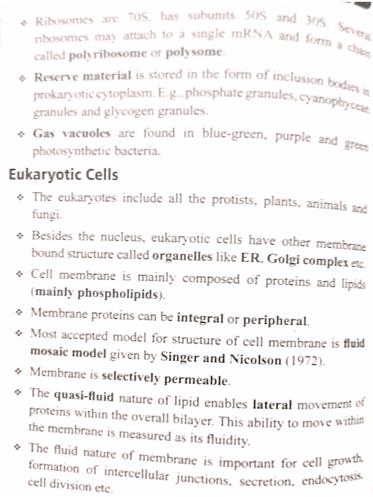 Class 11 Chapter 1 Short Notes | PDF