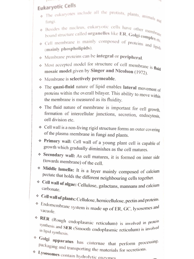 Class 11 Chapter 1 Short Notes | PDF