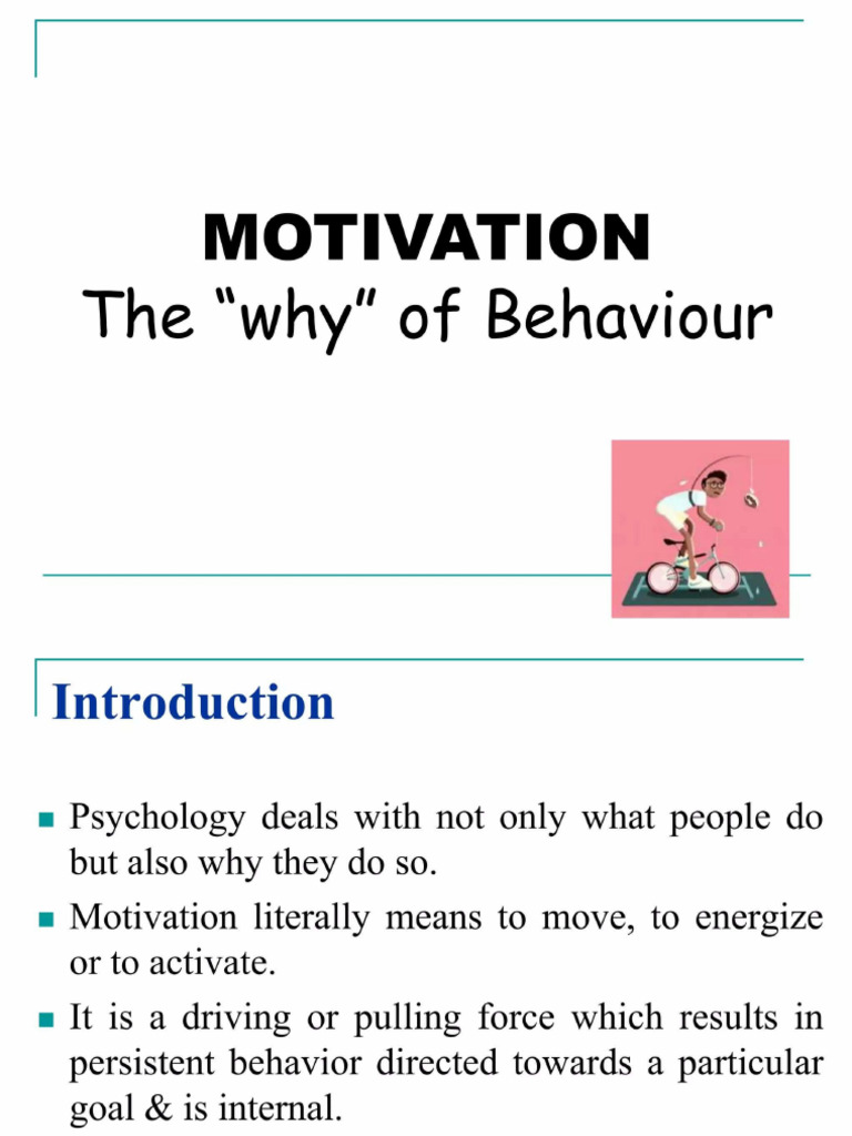 Drive Motivation | PDF