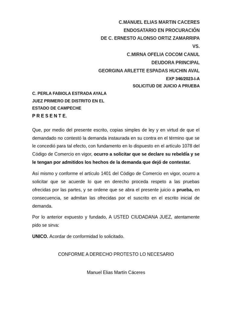 Solicitud a Prueba | PDF