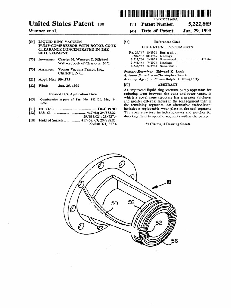 Liquid Ring Vacuum Pump-Compressor With Rotor Cone | PDF | Pump | Turbine