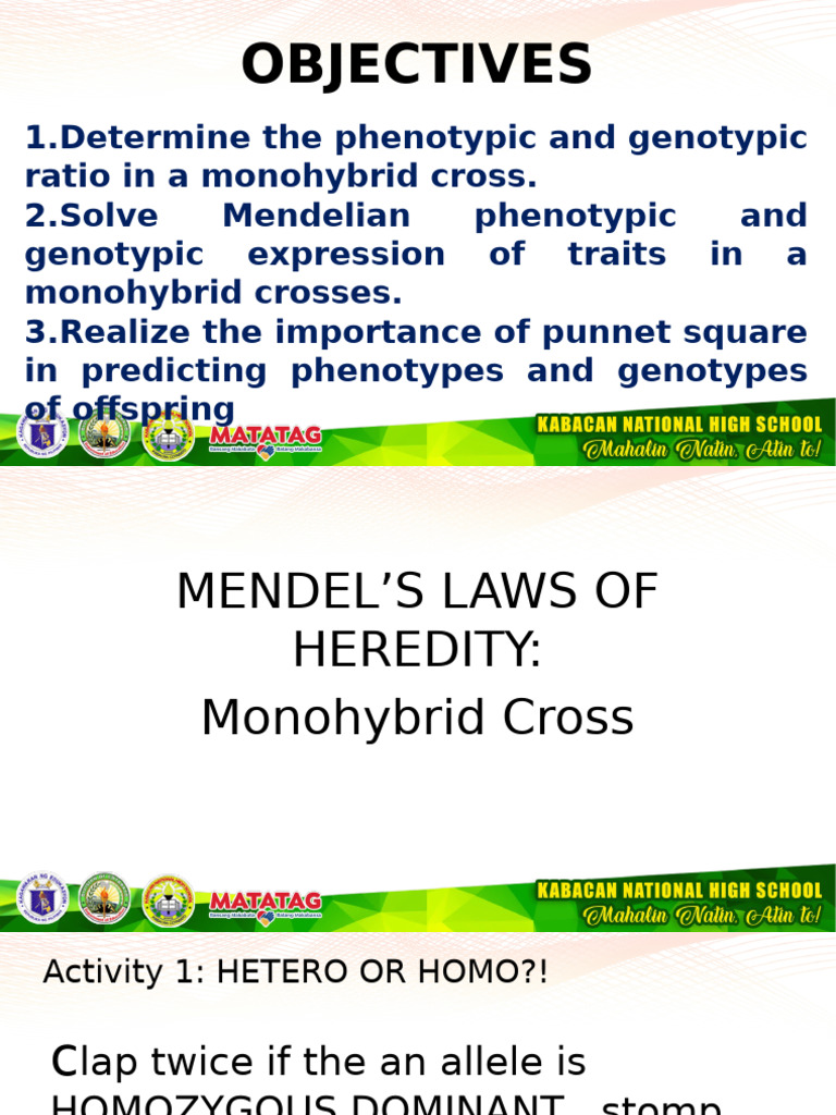 PPT COT MONOHYBRID CROSS | PDF | Genotype | Dominance (Genetics)