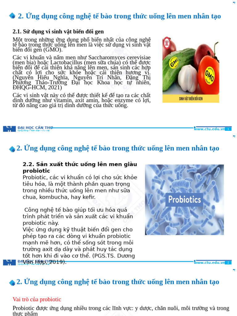 NG D NG CNTB Trong Lên Men TP | PDF