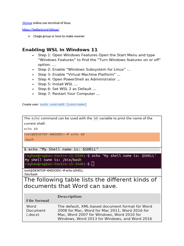 JSLinux Online Use Terminal of Linux | PDF | Microsoft Word | Software Engineering