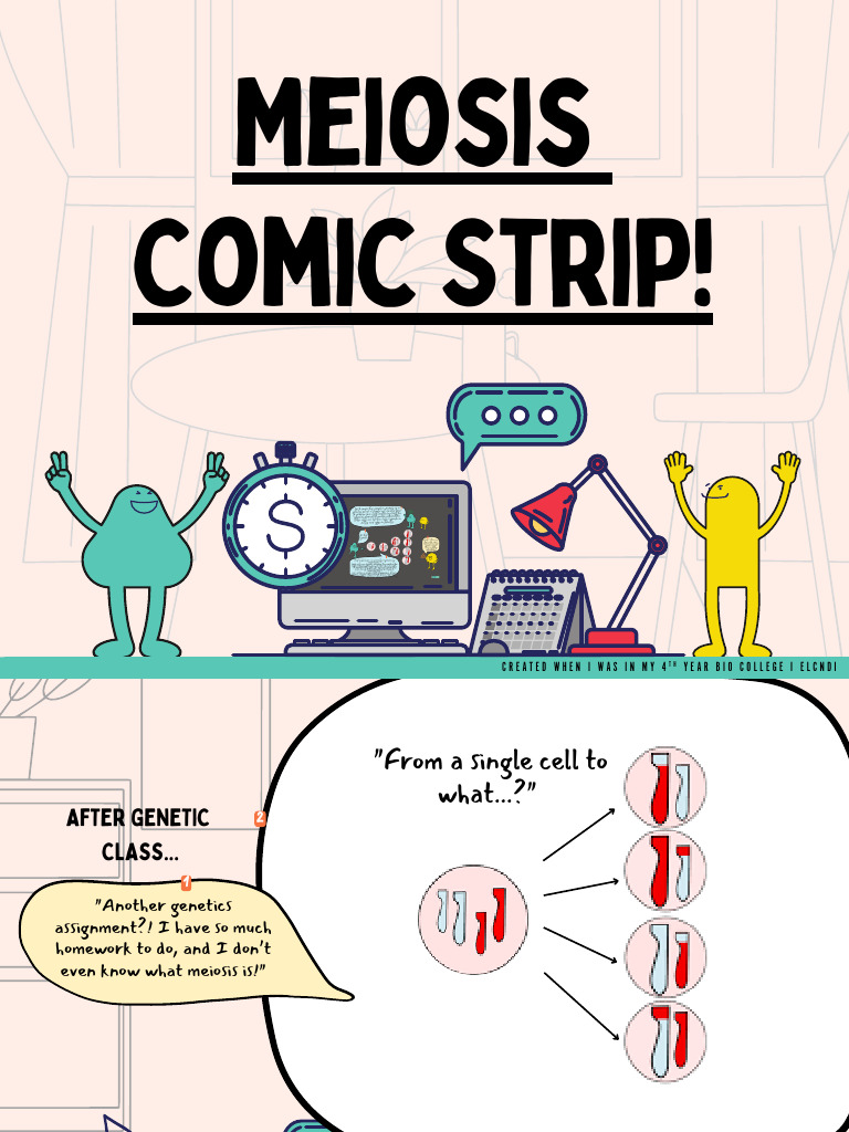 Meiosis Comic Strip by Elcndi | PDF | Meiosis | Mitosis