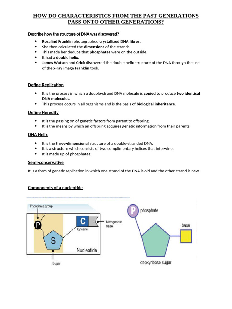 DNA | PDF | Dna | Base Pair