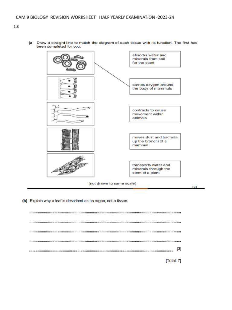 CAM 9 BIOLOGY REVISION WORKSHEET HALF YEARLY EXAMINATION.docx | PDF