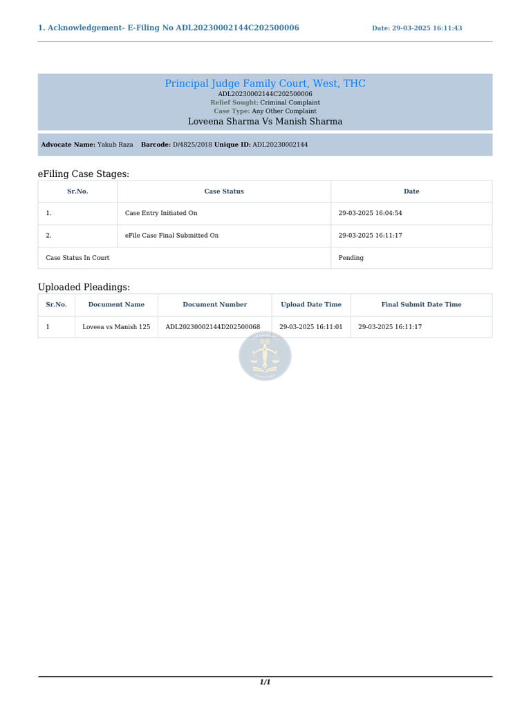 Criminal Complaint Case Filing Details | PDF