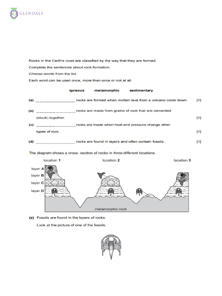 Total Revision Worksheet | PDF