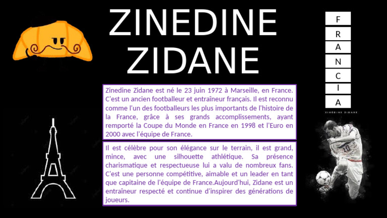 Zinedine Zidane : Légende du football | PDF