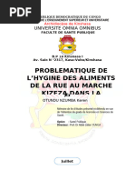 Gestion Des Risques Et Catastrophes | PDF | Inondation | Risque